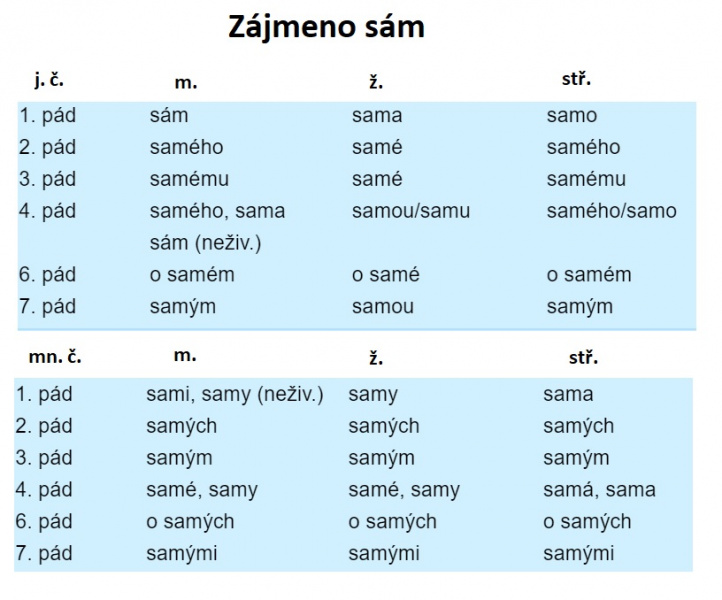 Skloňování zájmen